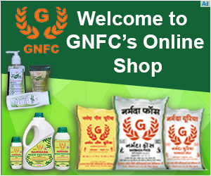 Today's Latest Vadodara News Headlines , Live Updates